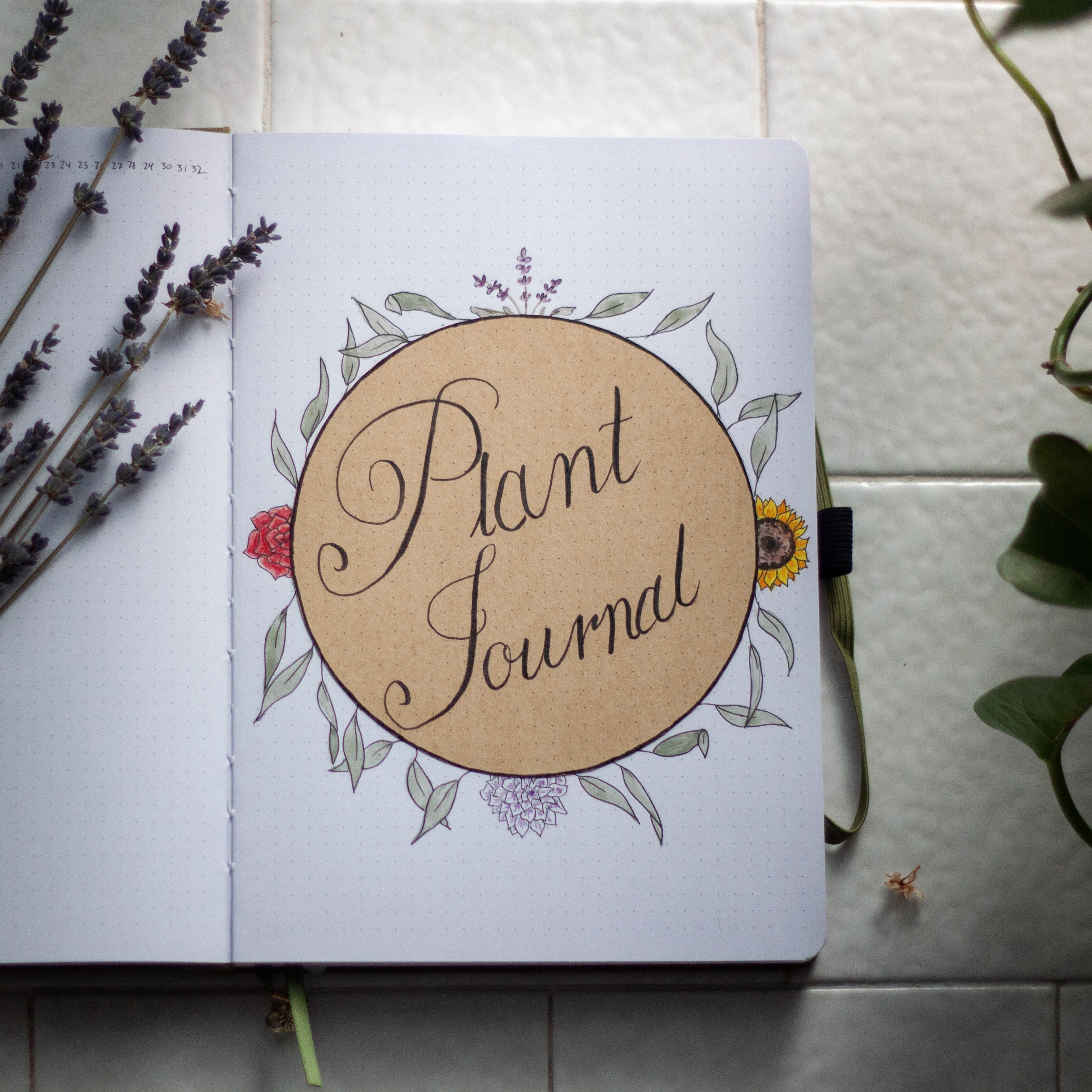 Plant Care Bullet Journal Trackers You Need To Keep Your Plants Alive ...
