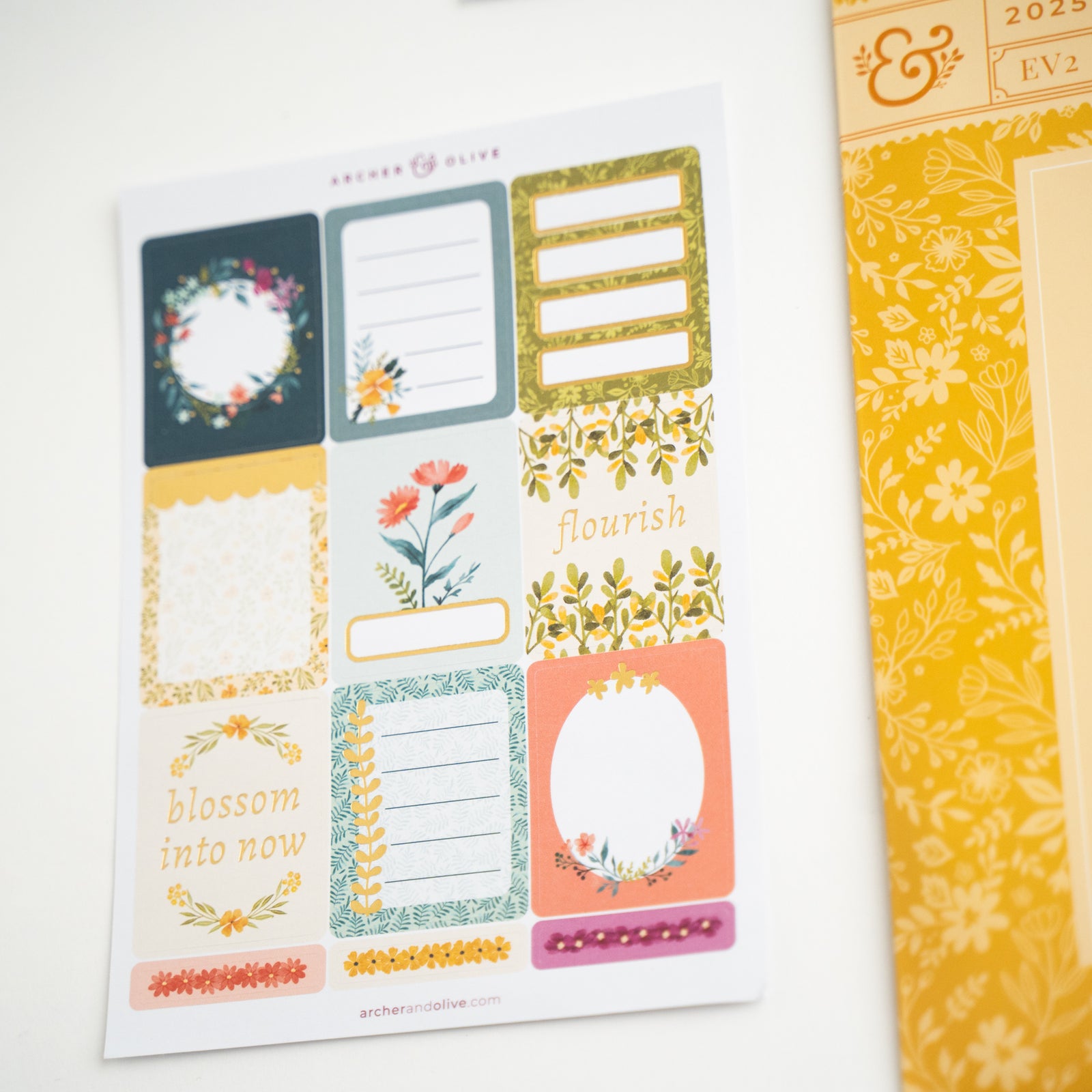 Everyday Kit Clubs – Archer and Olive