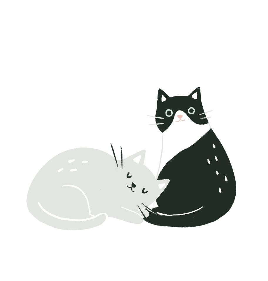 The Archer | Spring 2026 – Archer and Olive