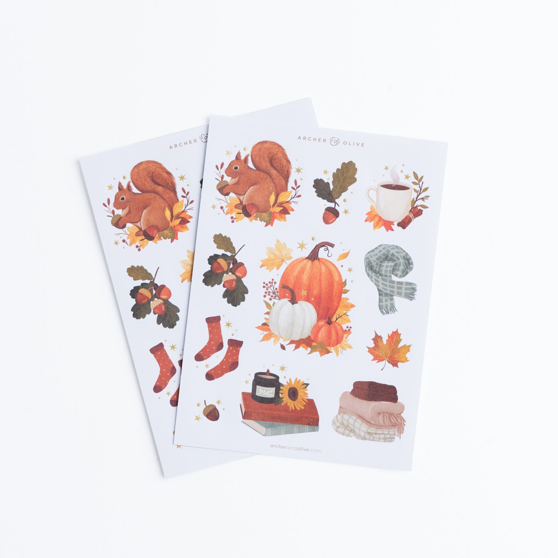Acorns Sticker Set | Archer and Olive