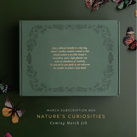 How To Use Time Blocking For Productivity In Your Bullet Journal | Archer and Olive